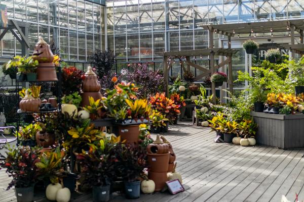 Checklist Mcdonald Garden Center